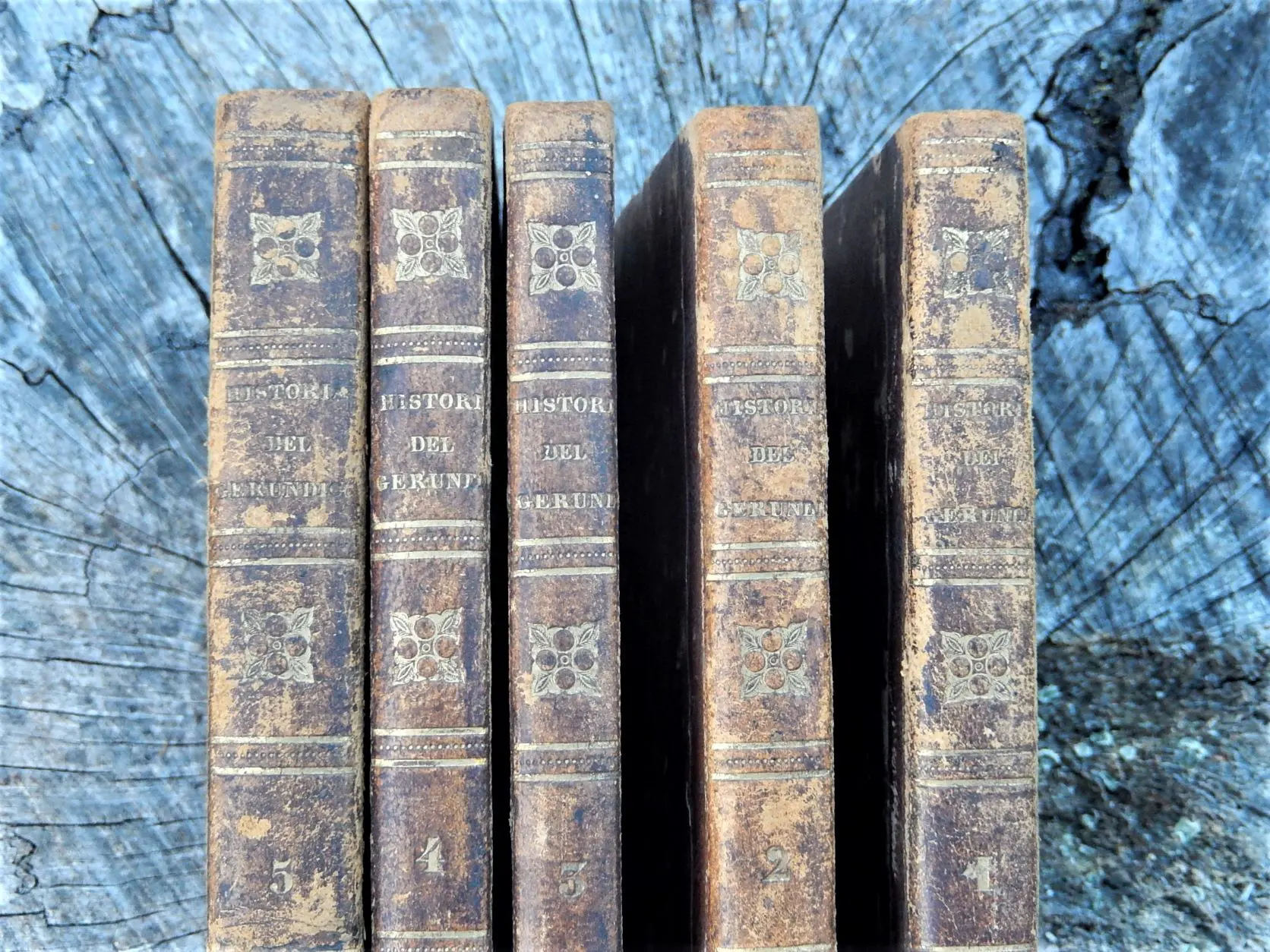 Shop Categories - The Shop in the Bush