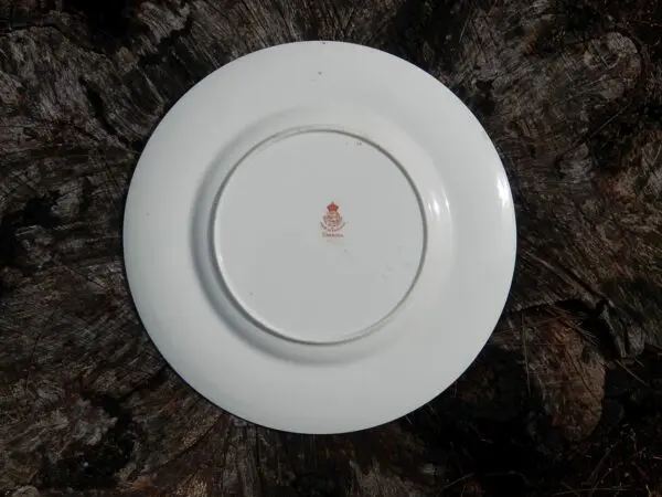 Royal Worcester Plate 1928 - The Shop in the Bush