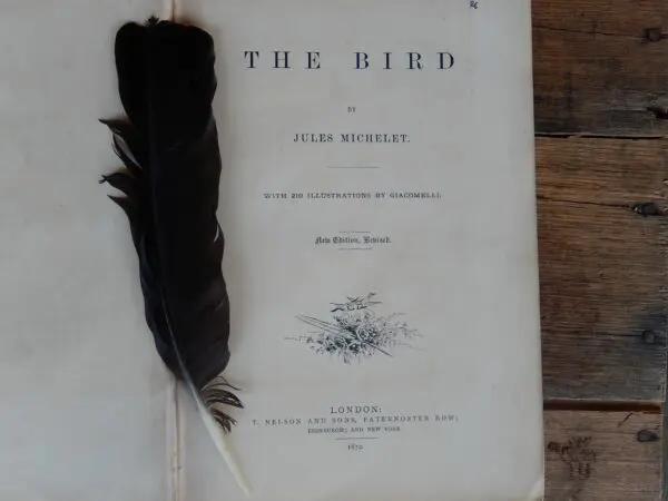 'The Bird' by Jules Michelet 1870 - The Shop in the Bush