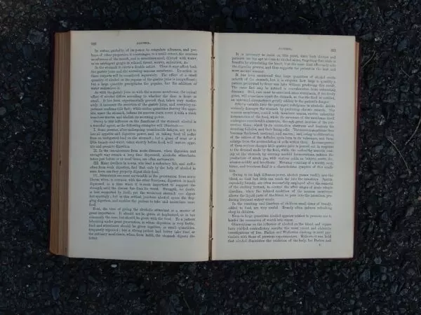 A Handbook of Therapeutics | The Shop in the Bush