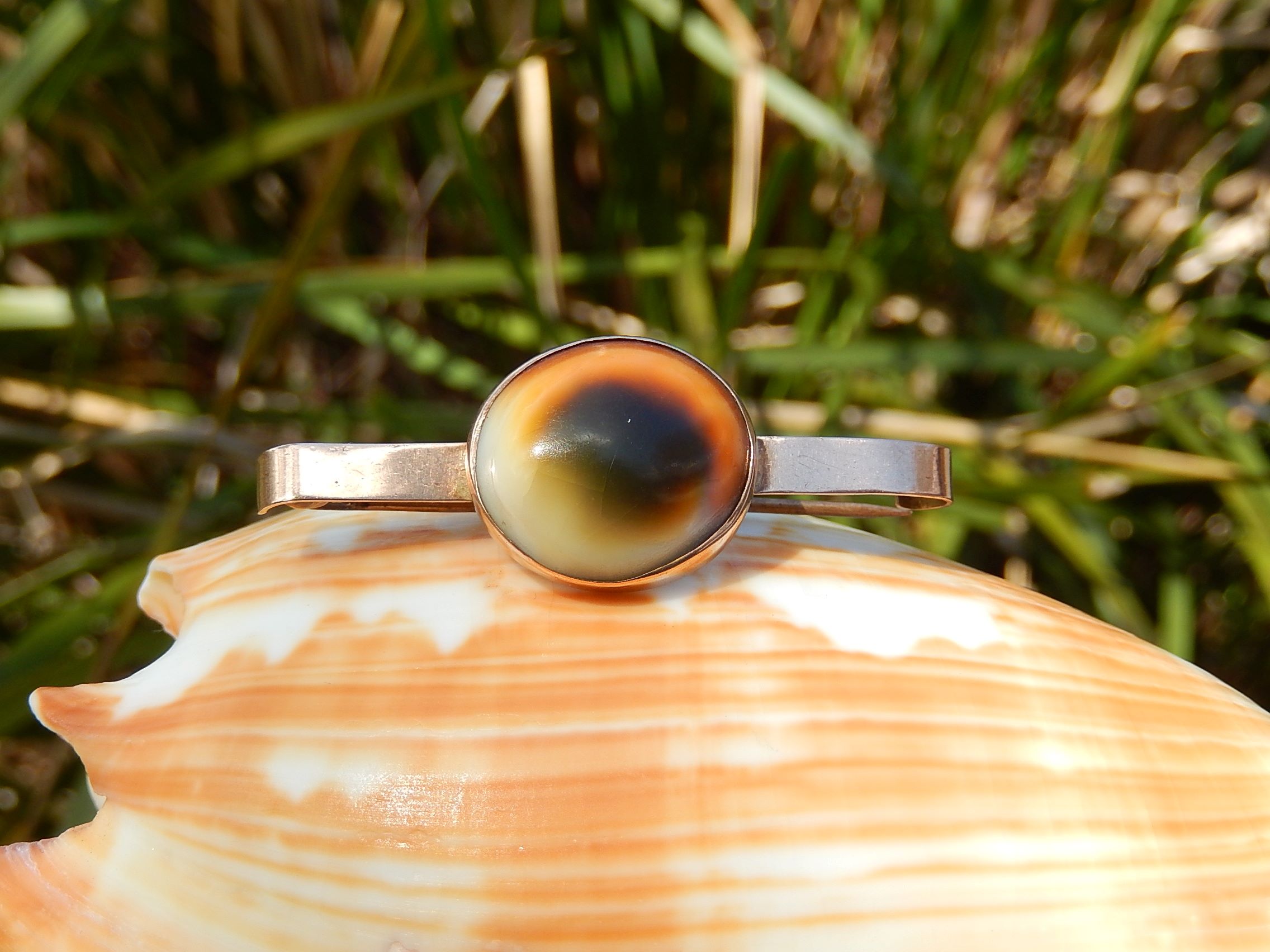 Victorian Operculum Brooch | The Shop in the Bush