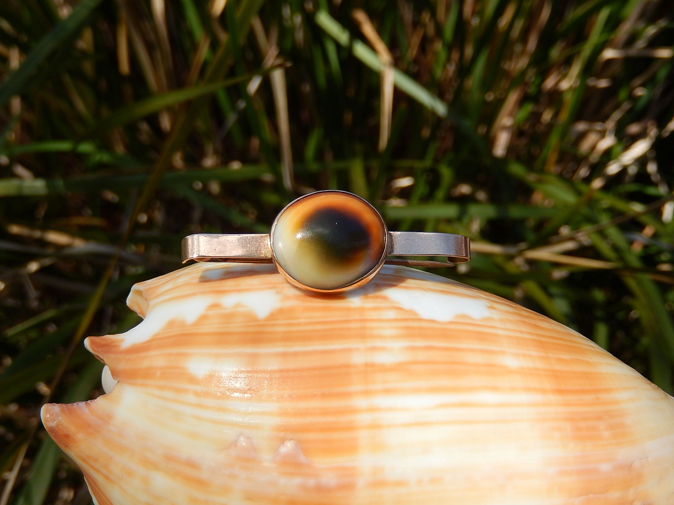 Victorian Operculum Brooch | The Shop in the Bush